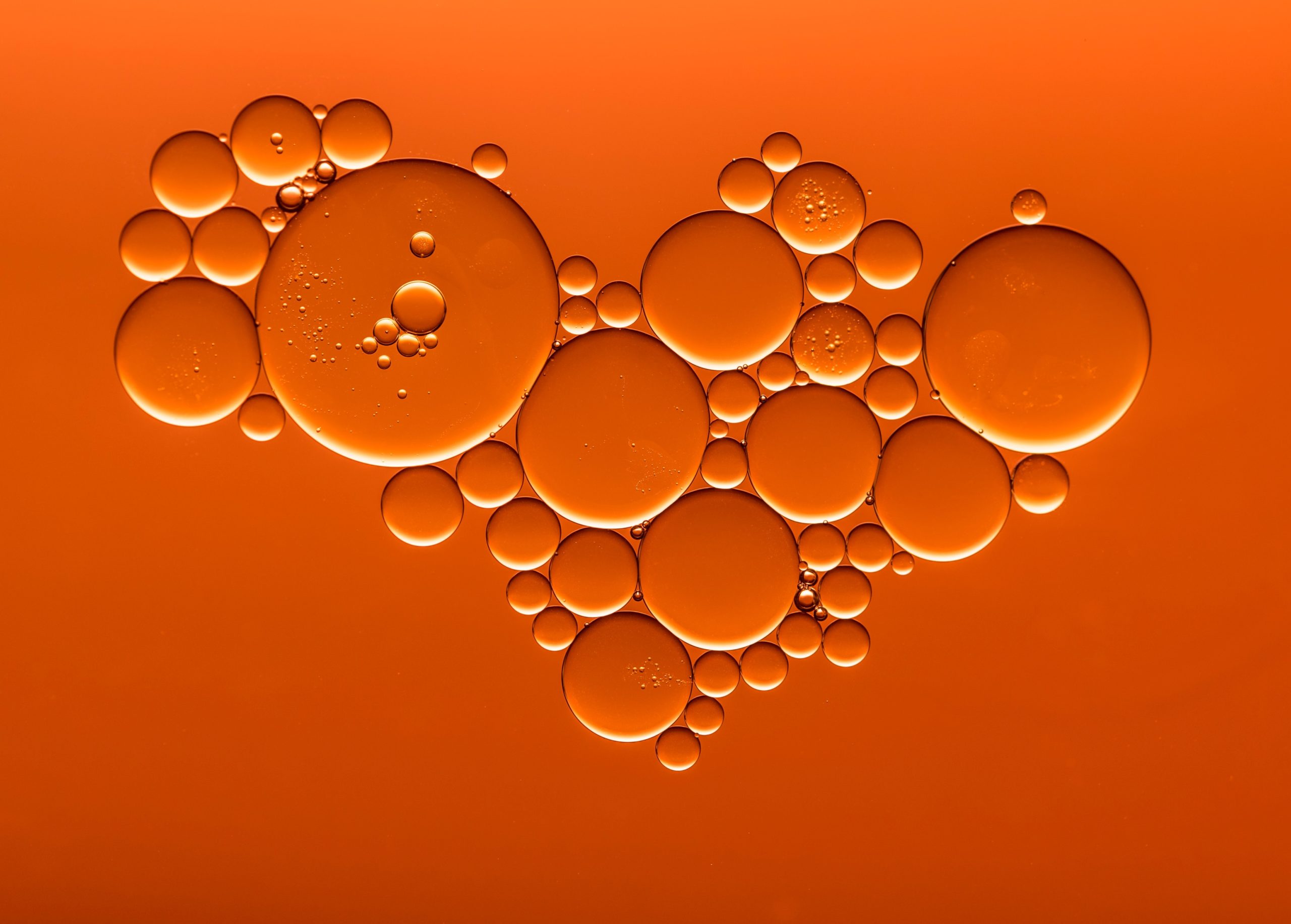 MCT duo power, caprylic acid (C8) and capric acid (C10) - FOH